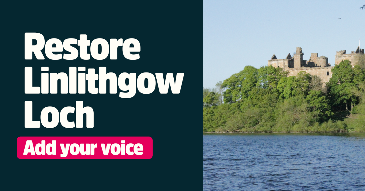 Restore Linlithgow Loch - Scottish Greens