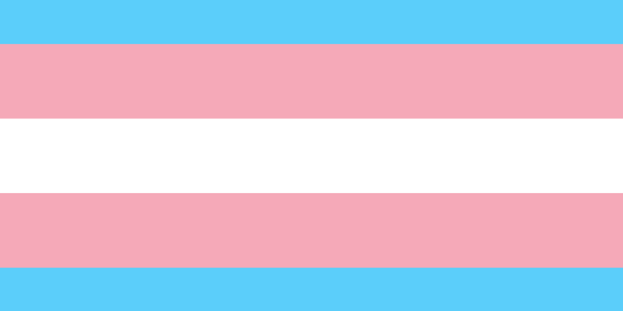 Gender Recognition Reform would be historic step for equality ...
